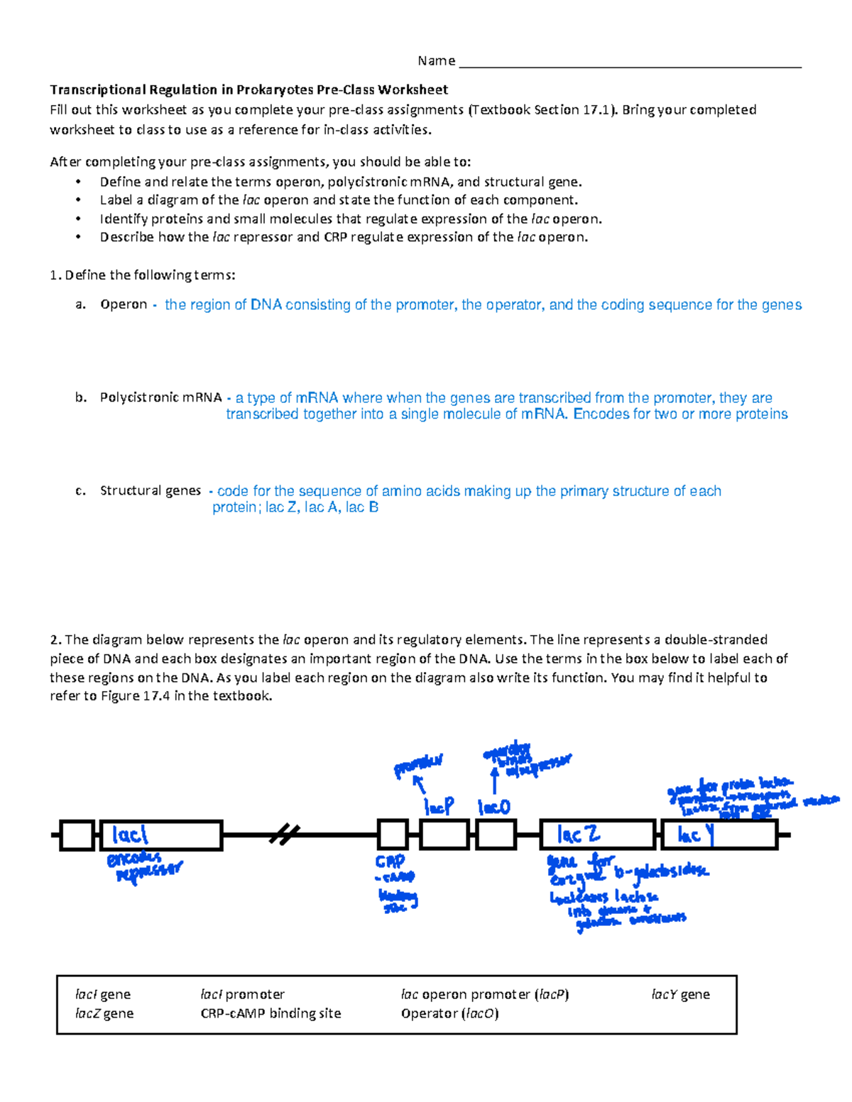 Week 7b Prokaryotic Gene Expression v2 Reading Guide - Name - Studocu