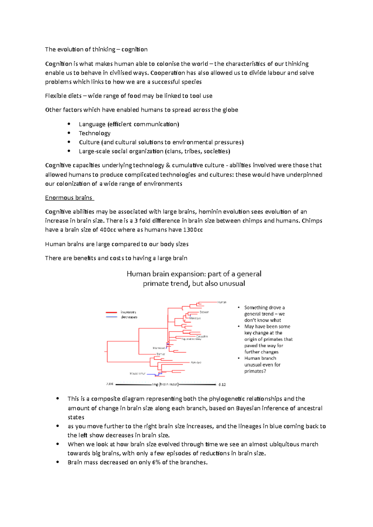 Lecture 15 - The evolution of thinking - The evolution of thinking ...