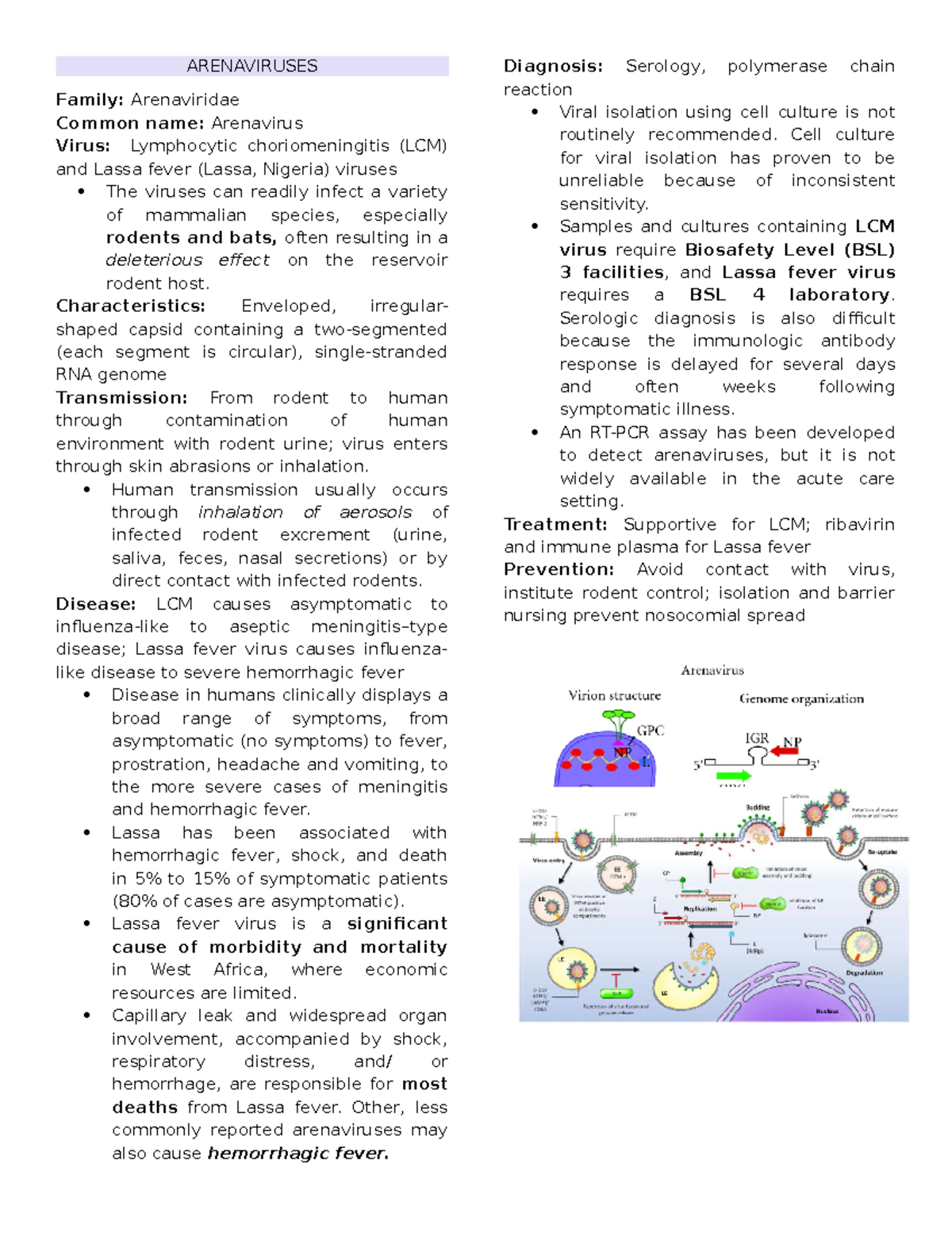 Arenavirus Report - ARENAVIRUSES Family: Arenaviridae Common name ...