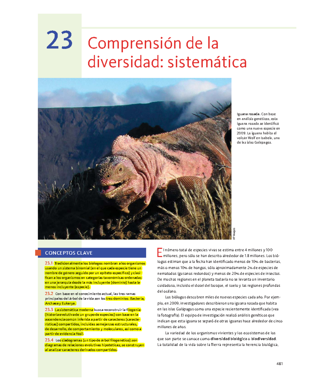 Capítulo 23 - Clasificación biodiversidad - Solomon, Berg Martin - 9ed ...