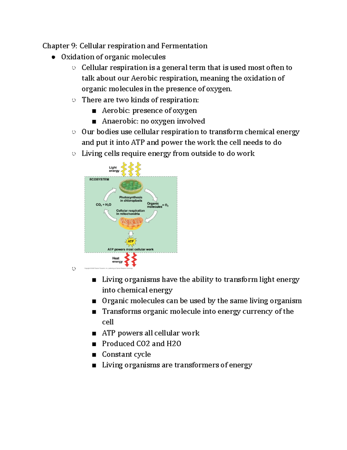 Ch9 bio notes - Chapter 9: Cellular respiration and Fermentation ...