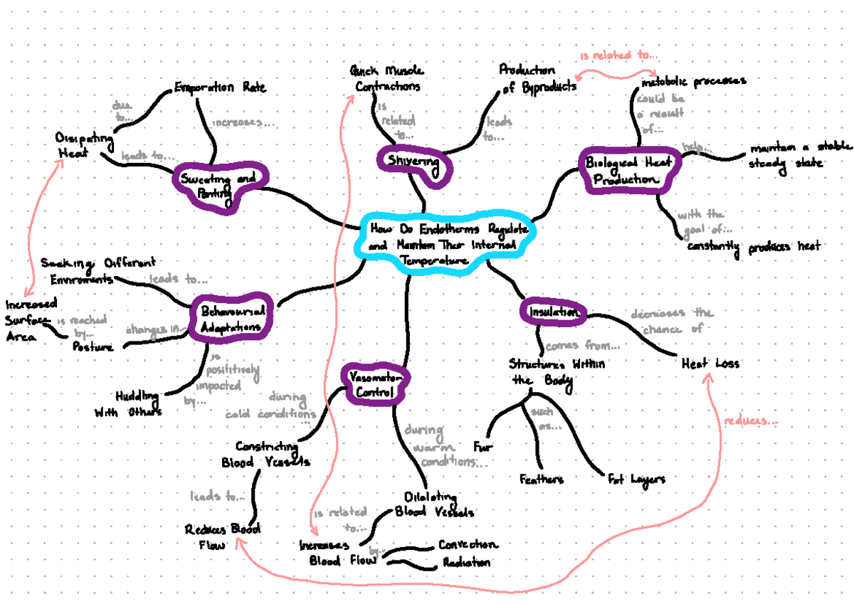Bonus Point Mind Map Topic Test 3 - BIOL 1070 - t · e n e · · ↑ To E ...
