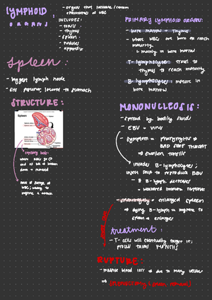 Session 5 Worksheet - Lungs and Airways - WEEK 7: LUNGS AND AIRWAYS ...