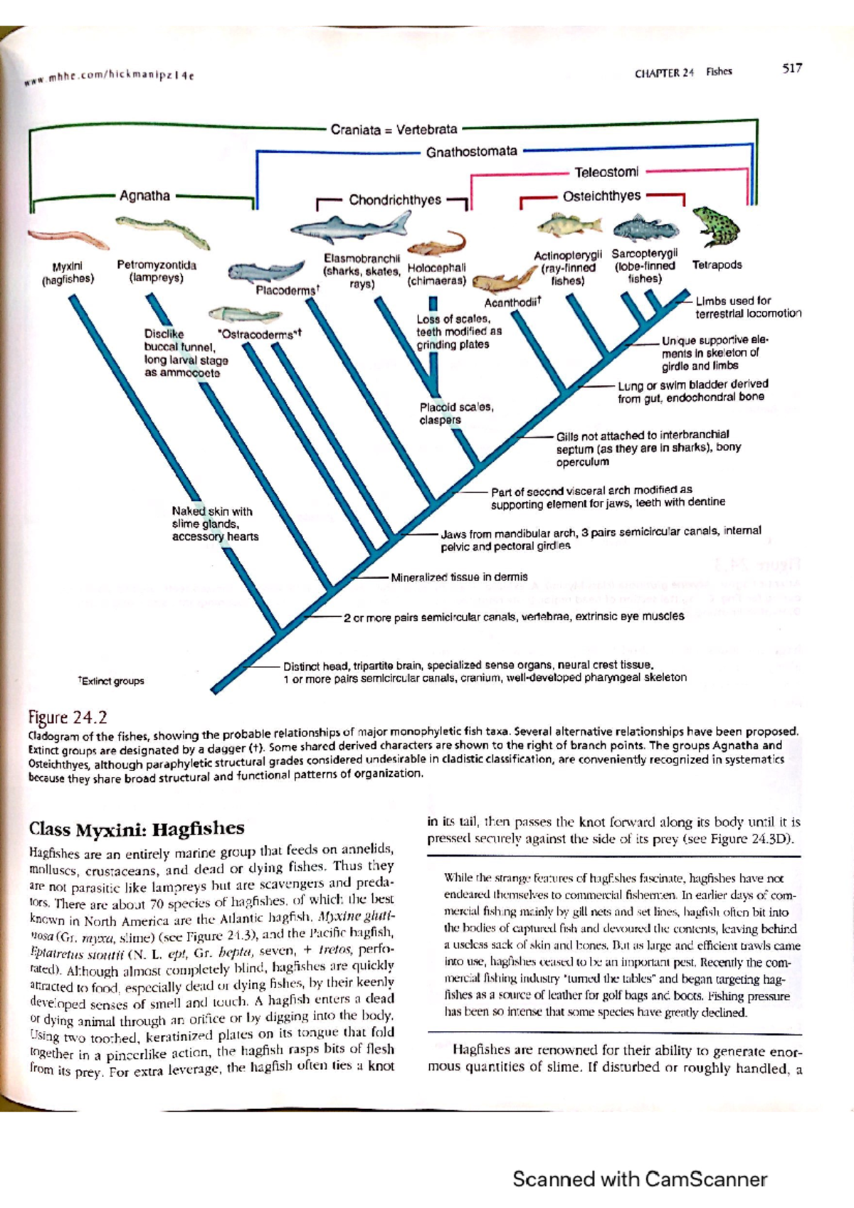 from assigned textbook on Vertebrates - BIOL2021 - Studocu