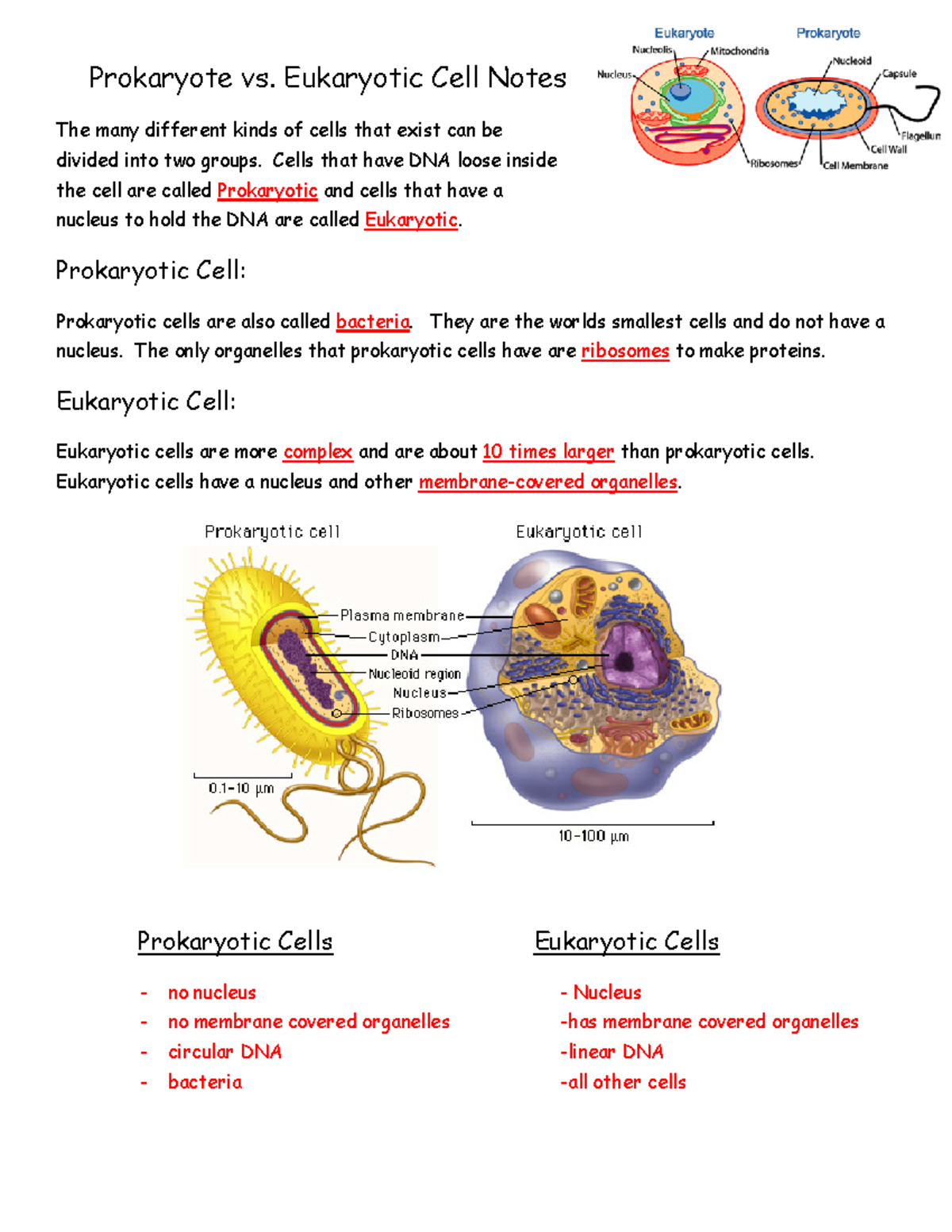 Prokaryotic vs. Eukaryotic Cell Notes - Prokaryote vs. Eukaryotic Cell ...