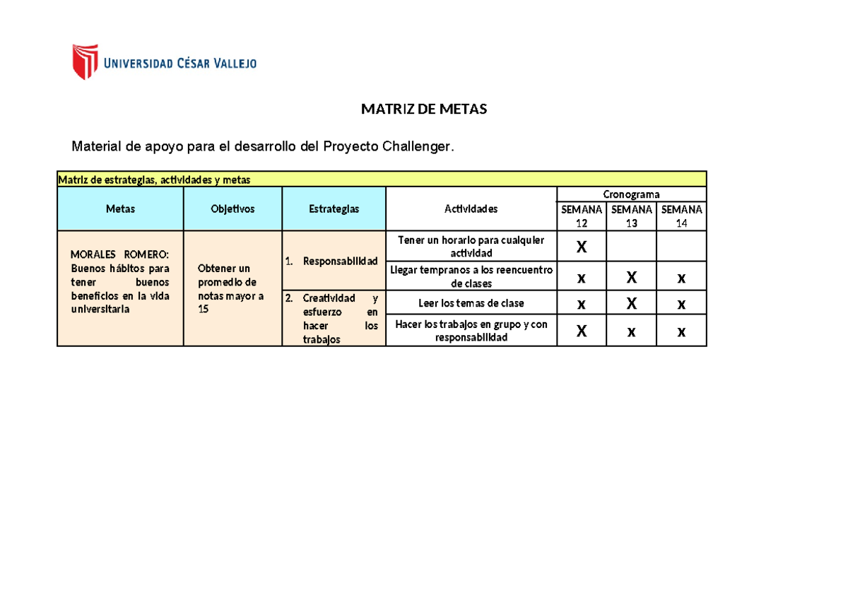 Matriz DE Metas 13 G2 - edg - MATRIZ DE METAS Material de apoyo para el ...