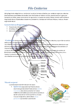 Clase Artrópodos - resumen - “CLASES ARTRÓPODOS” QUELICERADOS: Incluyen ...