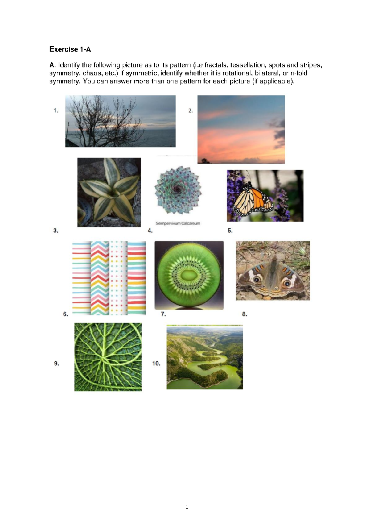 MMW Chapter-1 - aaaaaaa - Exercise 1-A A. Identify the following ...
