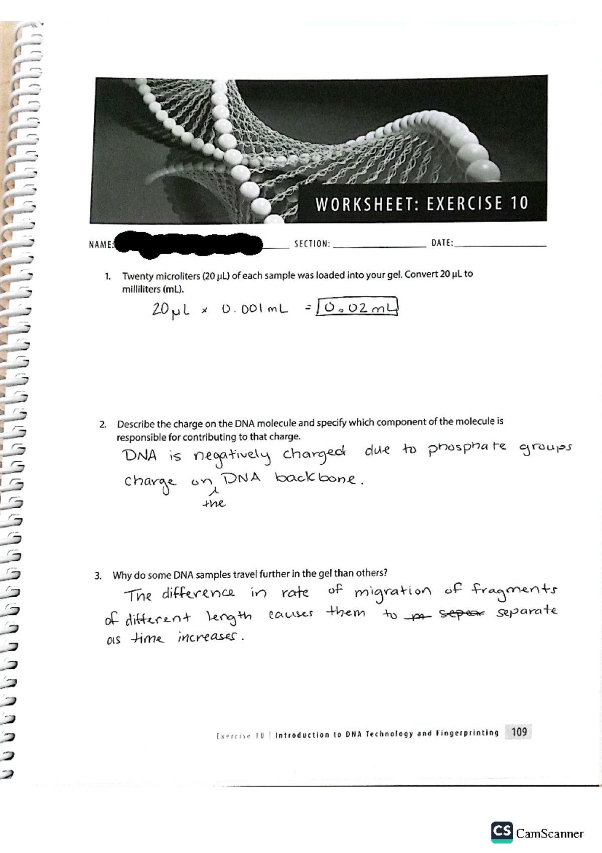 Exercise 10 - BIO 213 lab - BIOL 213 - CamScanner - Studocu