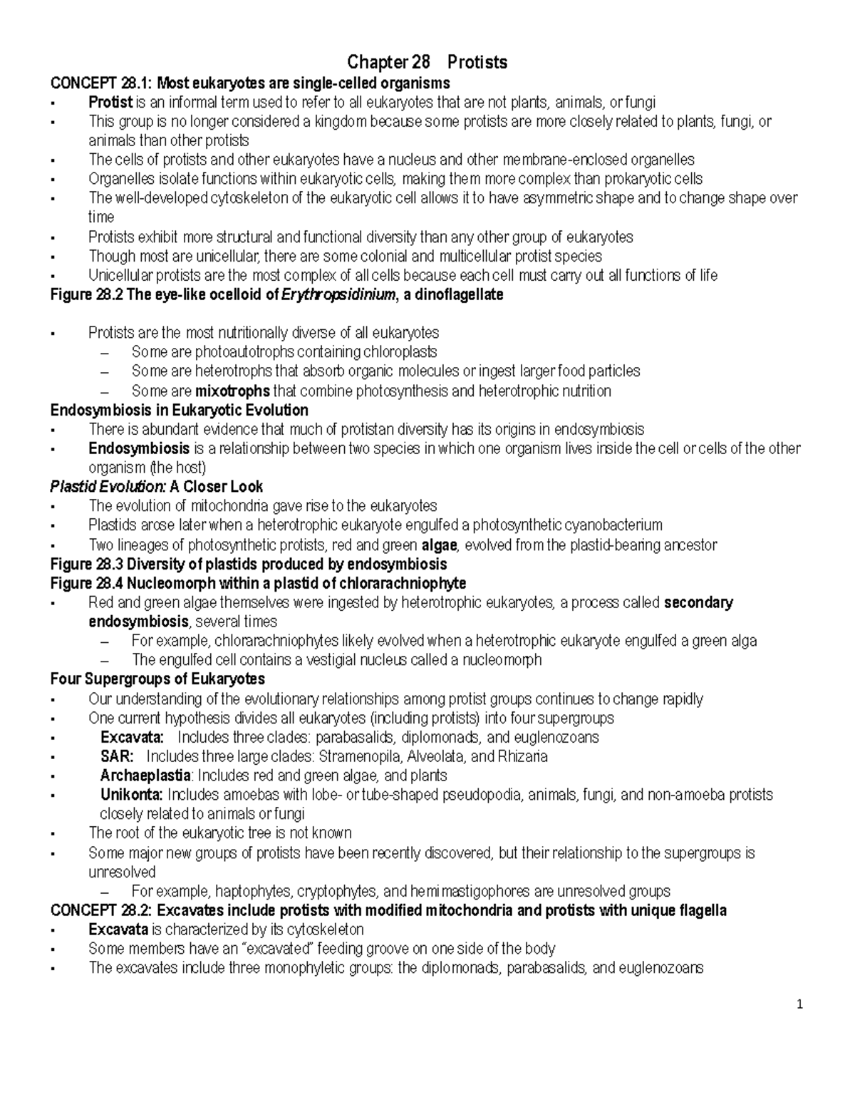 Chapter 28 Review Notes Protists - Chapter 28 Protists CONCEPT 28: Most ...