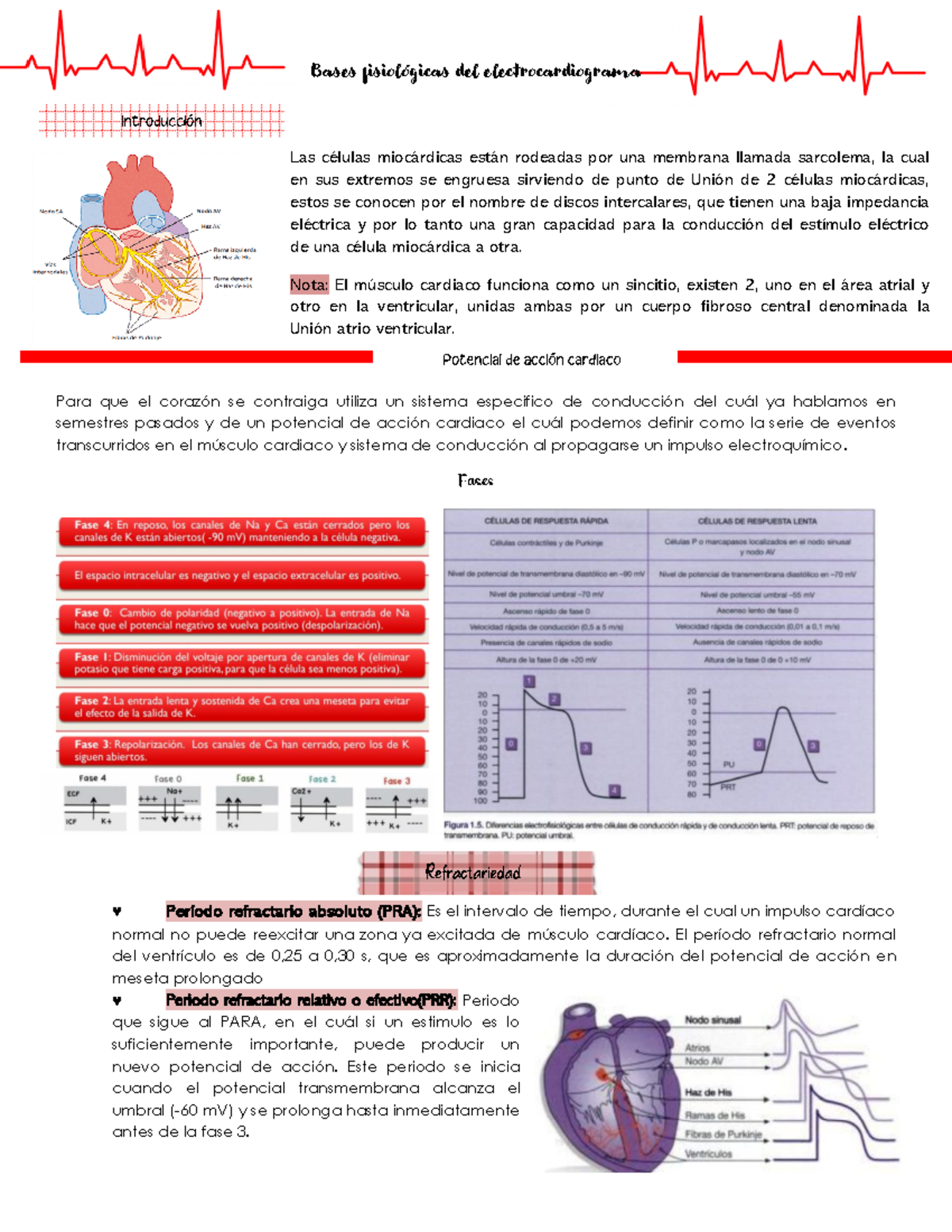 EKG RCP Cetoacidósis Na desequilibrio hipoglucemia - Bases fisiolÛgicas ...