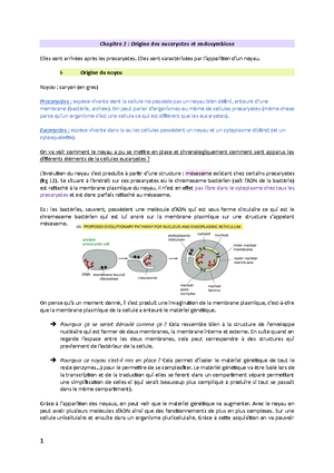 Chapitre 1-2-3 Biologie cellulaire - Chapitre 1 : Origine de la cellule 1. Datation de l ...