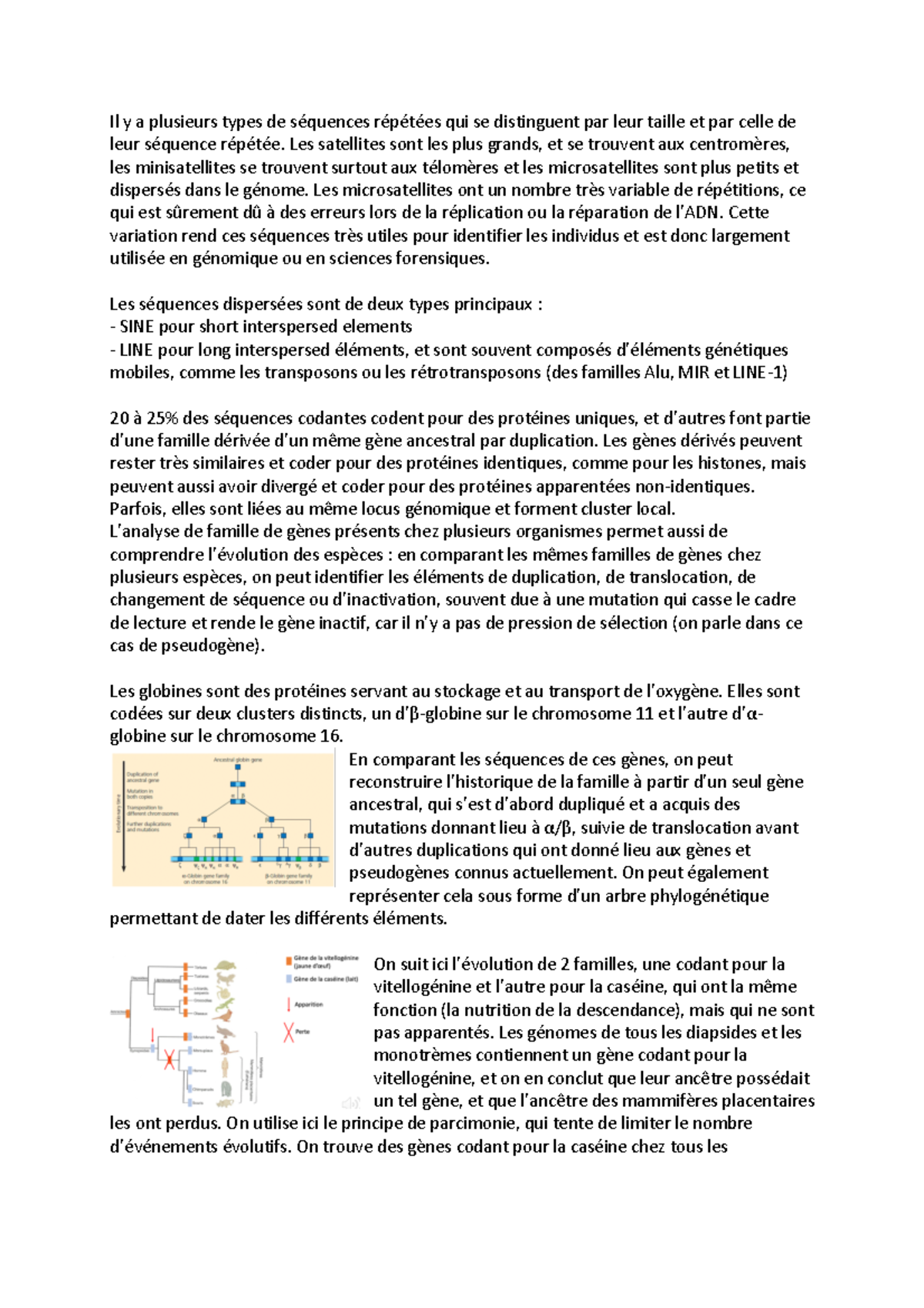 Cours 2 - théorie - Il y a plusieurs types de séquences répétées qui se ...