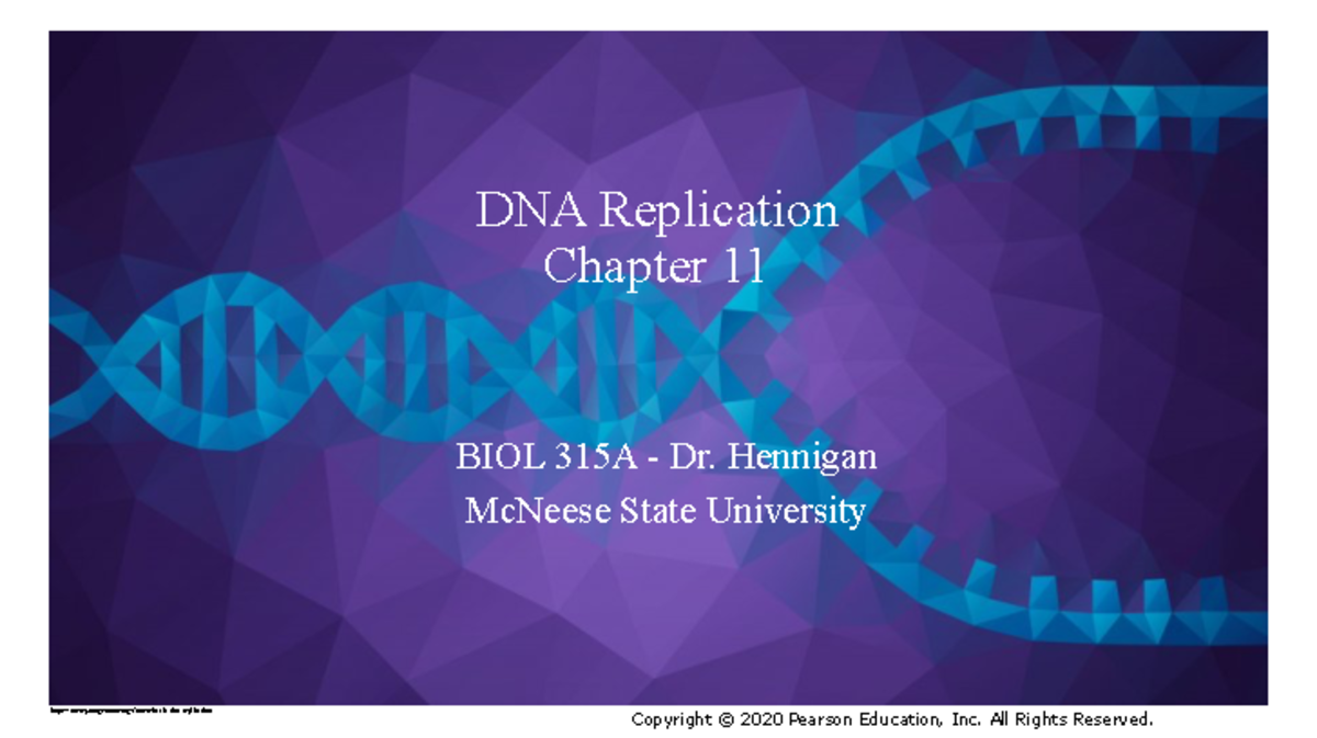 Lecture 3 - Notes - DNA Replication Chapter 11 BIOL 315A - Dr. Hennigan ...