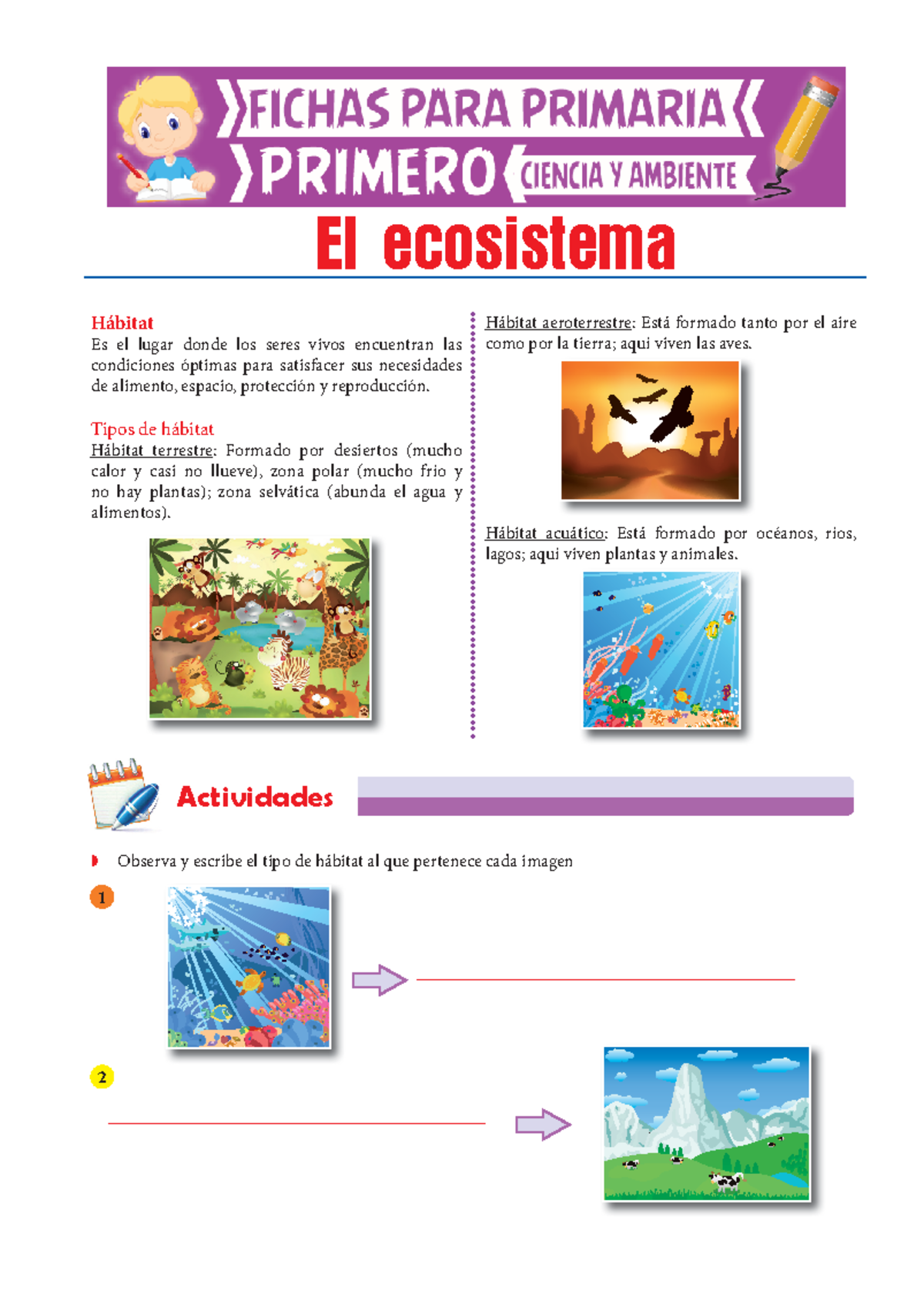 El ecosistema para Primero de Primaria - Hábitat Es el lugar donde los ...