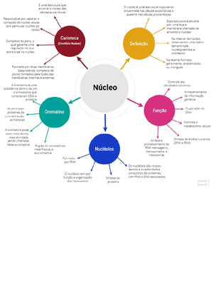 Mapa mental nucleo - Biologia Celular - Studocu