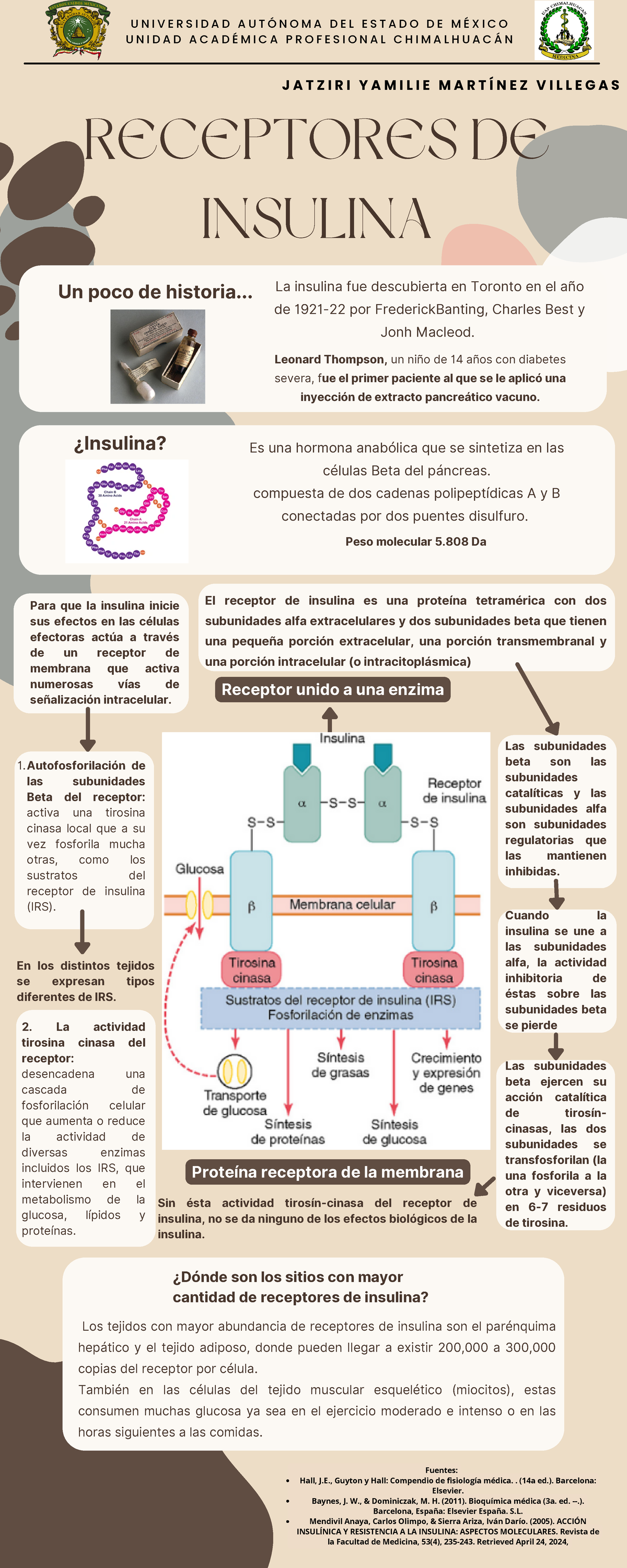 Infografía Receptores de insulina MVJY 20240609 123126 0000 ...