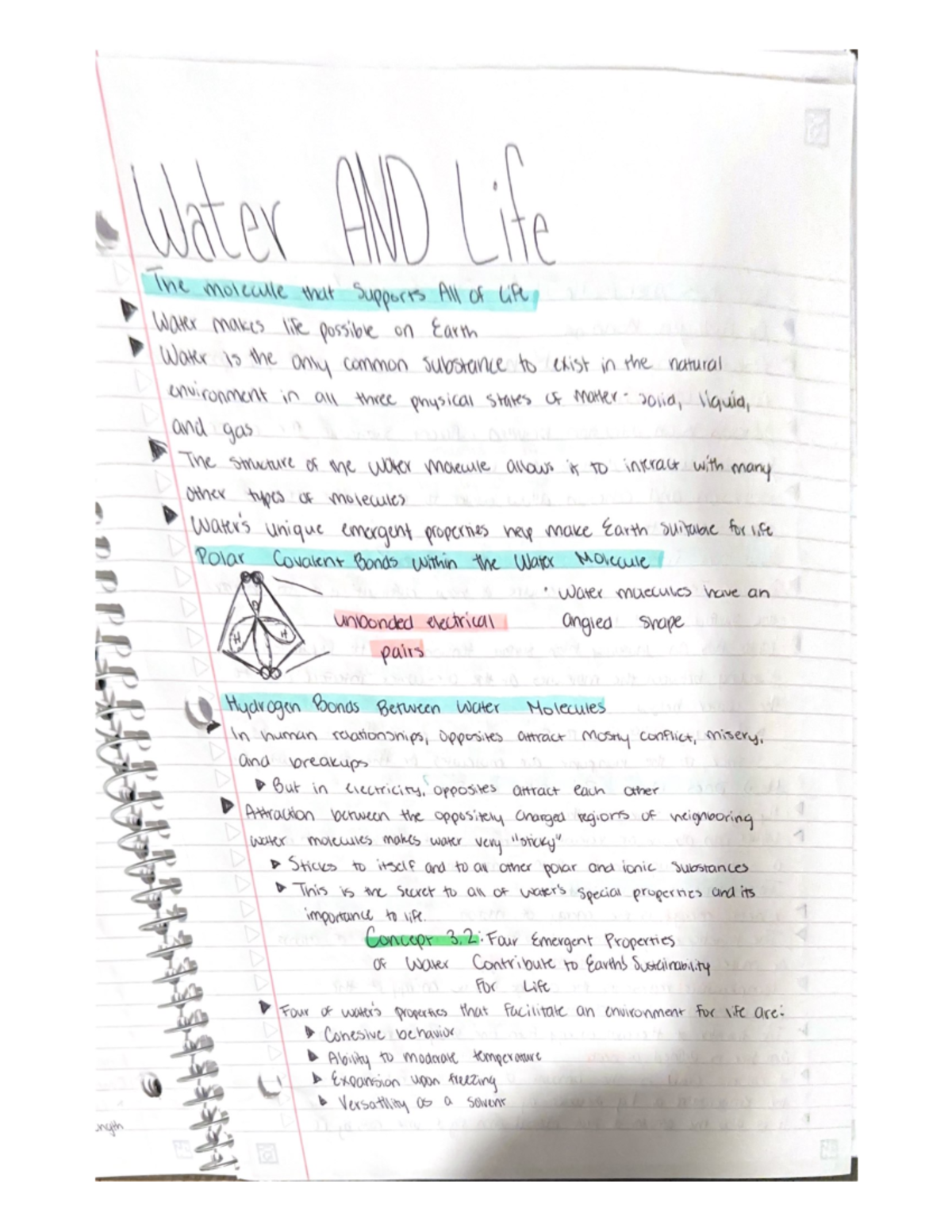 Bio chap 3 - chapter 3 lecture notes spring 2023 - BSC2010 - Studocu