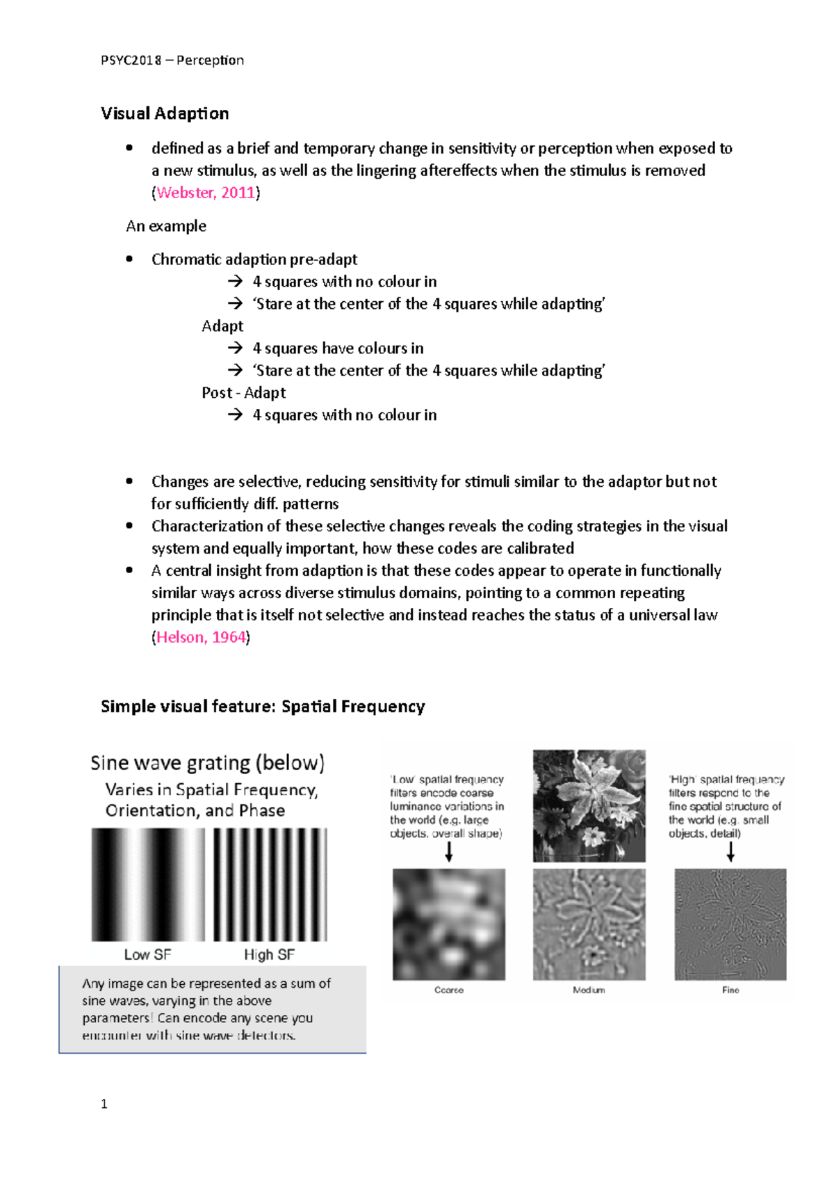 Visual Adaption - tutorial 1 - Visual Adaption defined as a brief and ...
