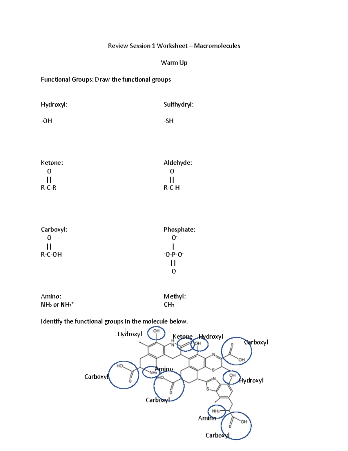 Review Session 1 Worksheet Answers - Review Session 1 Worksheet ...