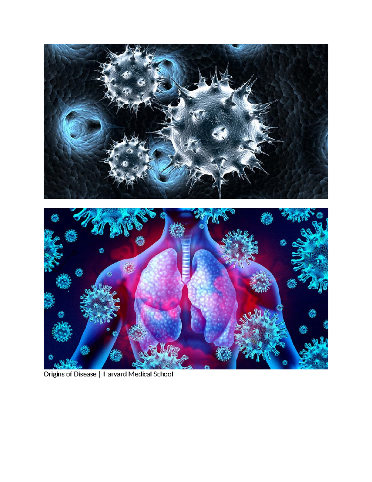 Origins of Disease - BIO 244 - Studocu