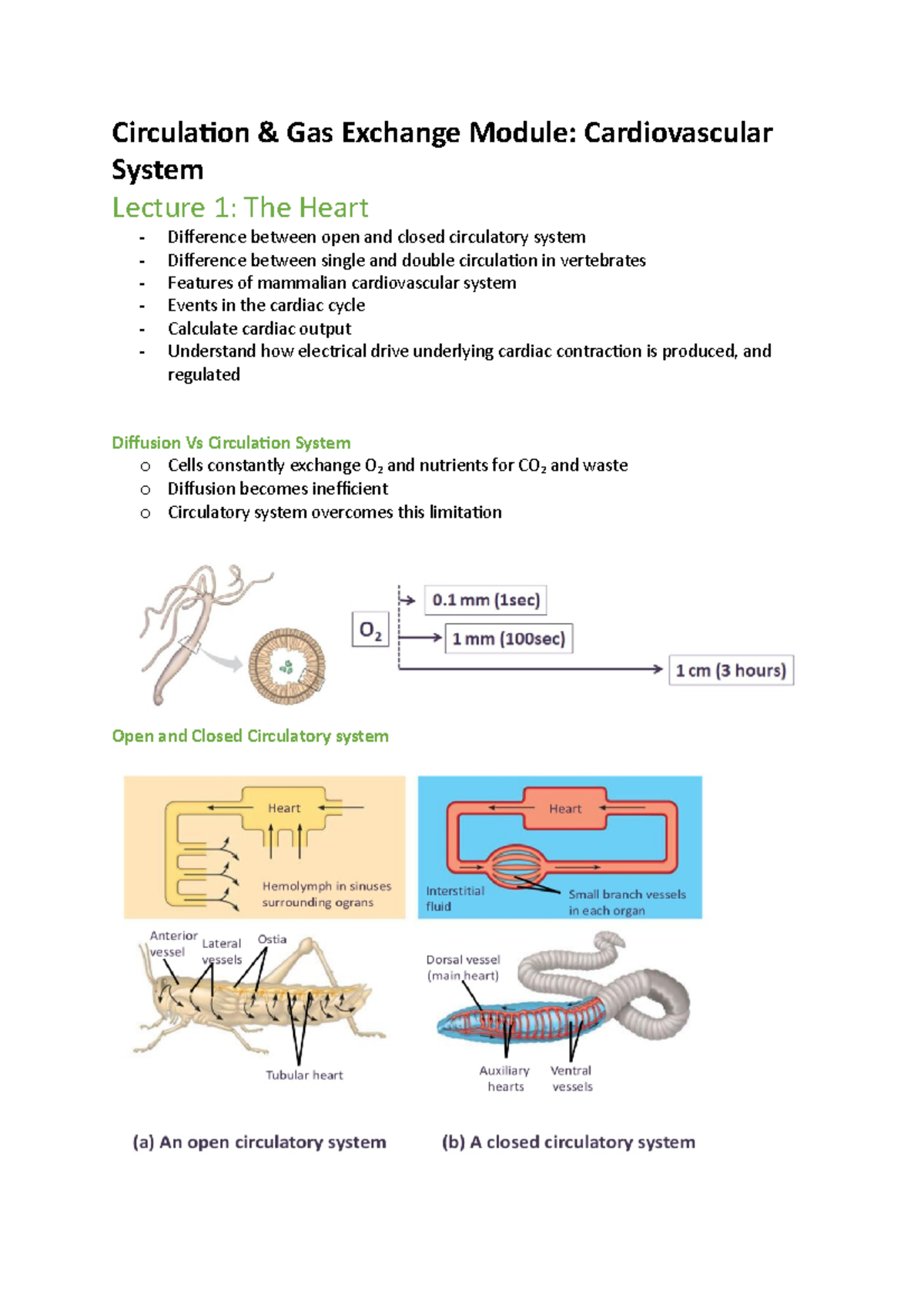 Circulation & Gas Exchange - Circulation & Gas Exchange Module ...
