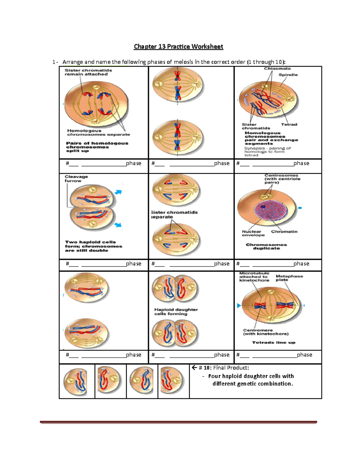 Chap 13 practice Worksheet - Chapter 13 Practice Worksheet 1- Arrange and name the following ...