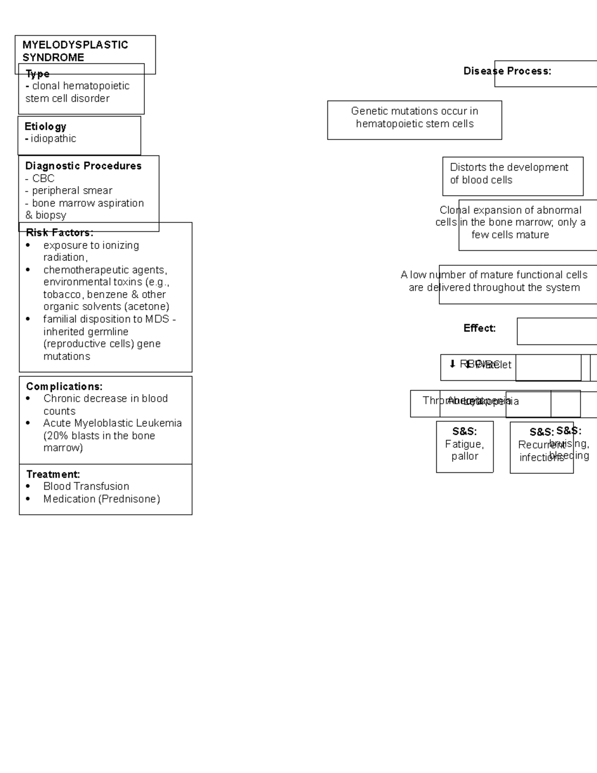 MDS Patho - MYELODYSPLASTIC SYNDROME Type Disease Process: clonal ...