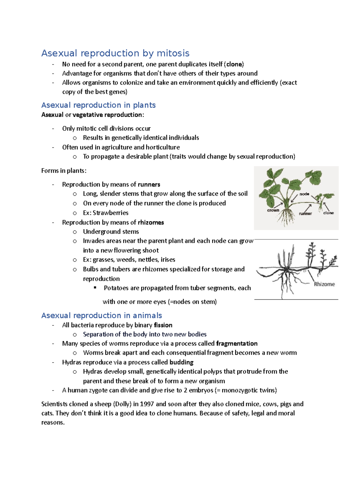 Asexual reproduction by mitosis - They don’t think it is a good idea to ...