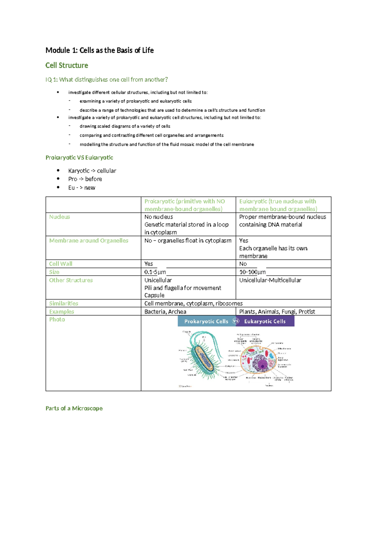 Module 1 Biology Notes - Module 1: Cells as the Basis of Life Cell ...