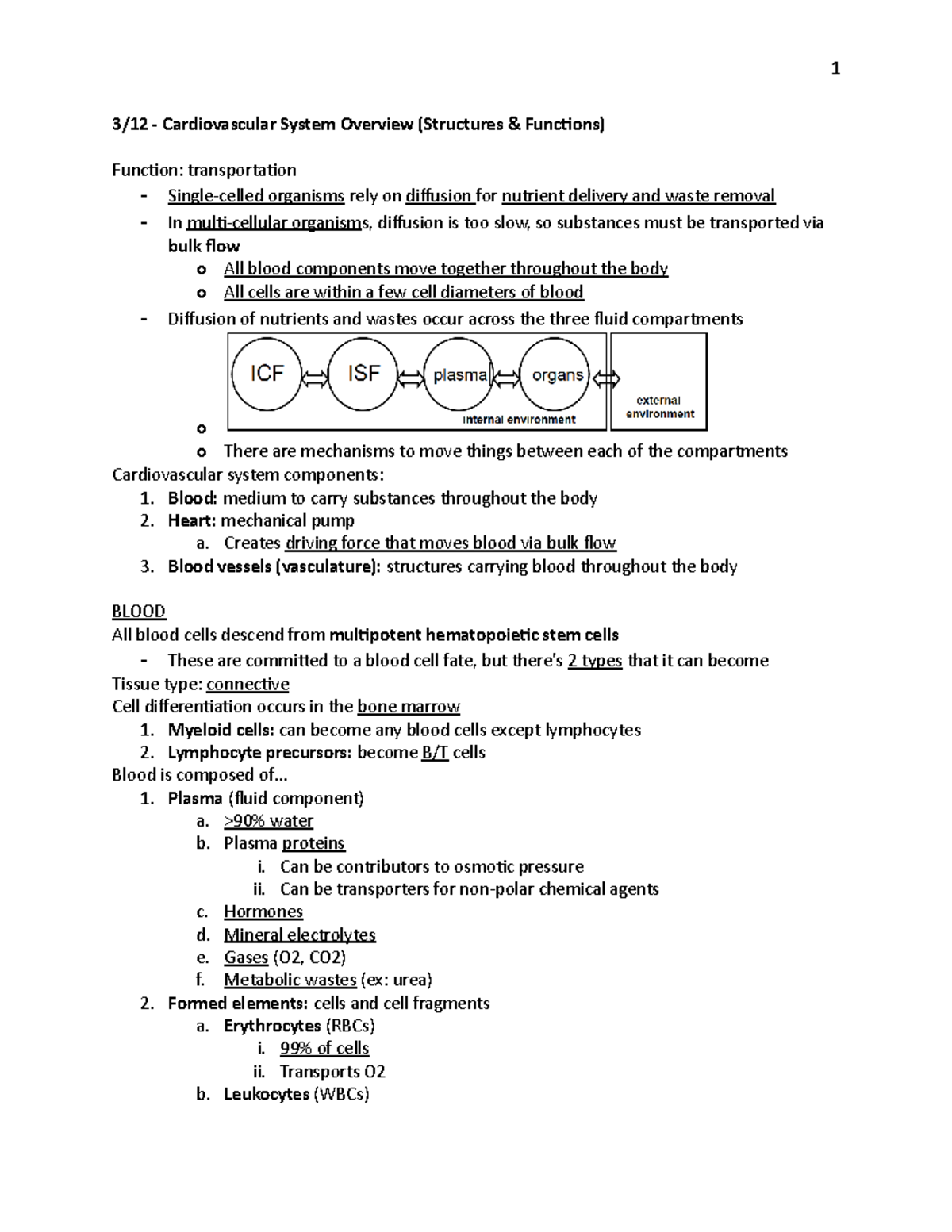 HHP3550 Unit 3 Notes - 3/12 - Cardiovascular System Overview ...