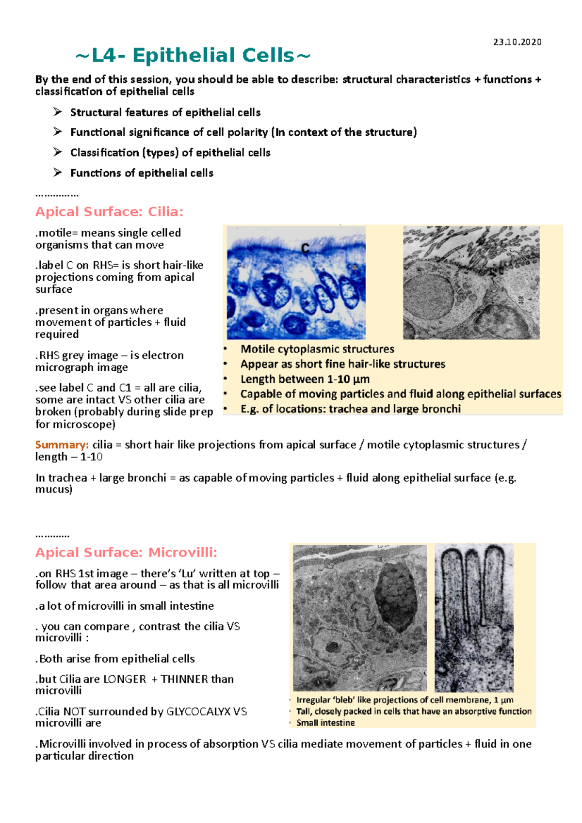 L4 -part 3- Epithelial Cells and its apical surface - cilia and ...