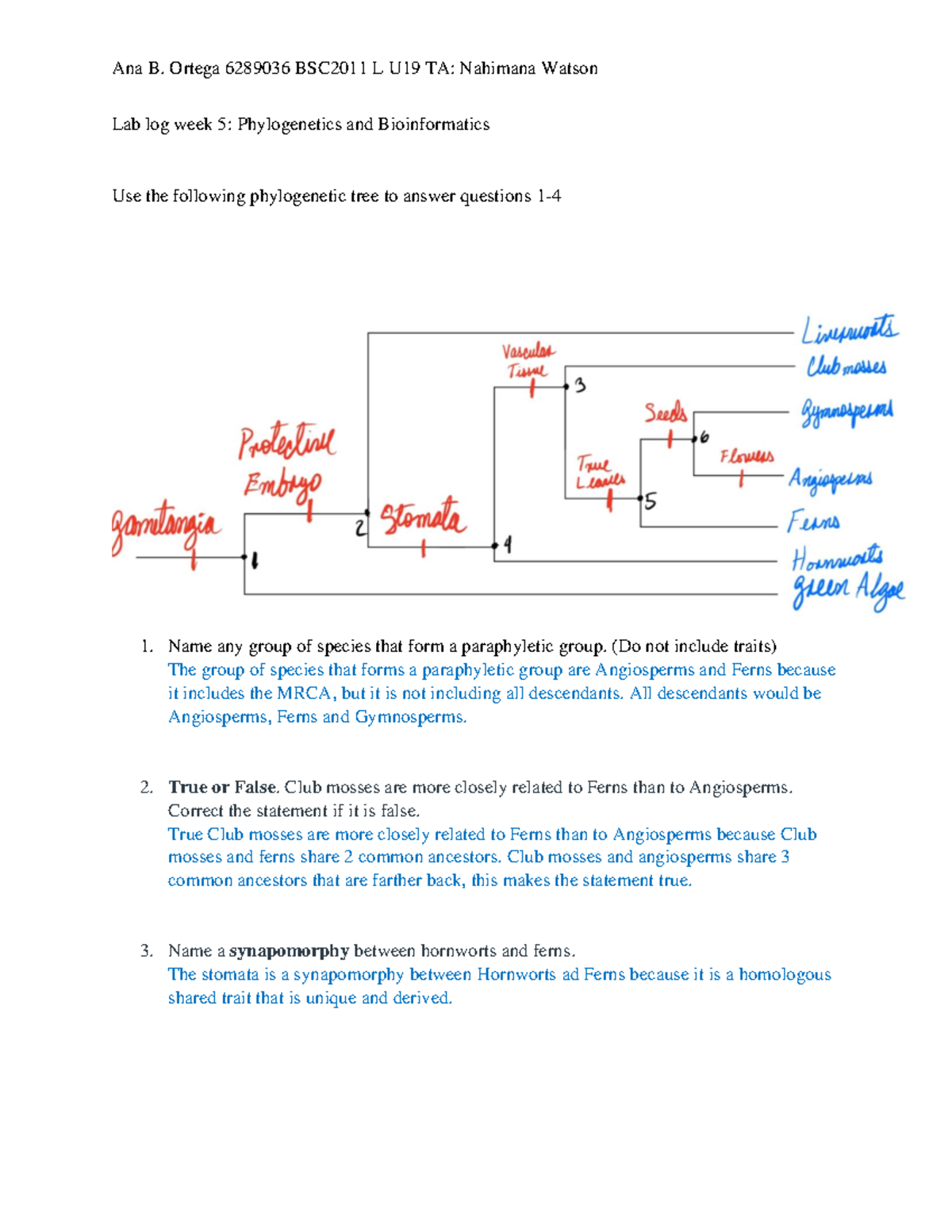 Lab log phylogeny Week 5 - Lab log week 5: Phylogenetics and ...