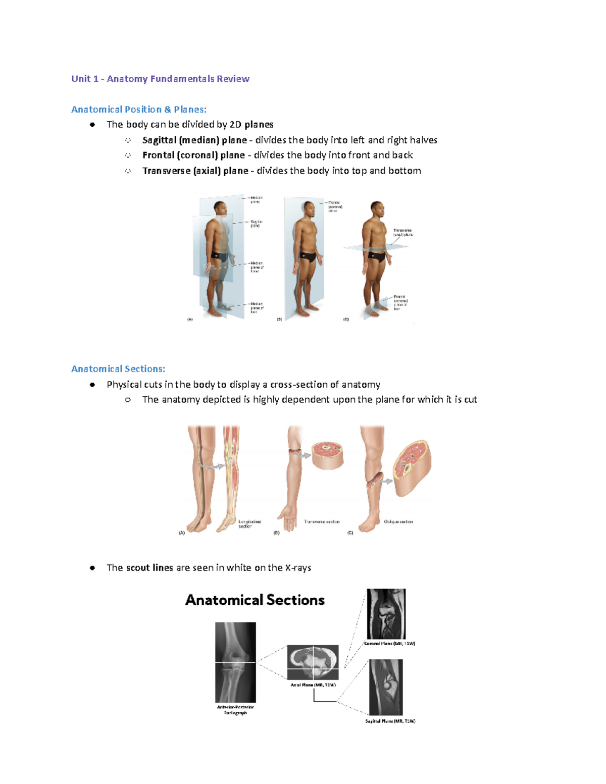 Week 1 - Anatomy Fundamentals Review + Intro to Neuro - Unit 1 ...