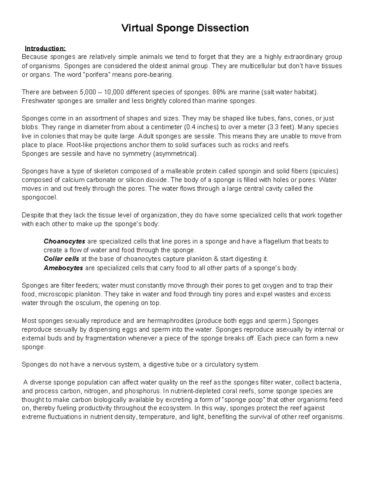 Copy of 13 - Porifera Virtual Dissection (Thinglink) - Virtual Sponge ...