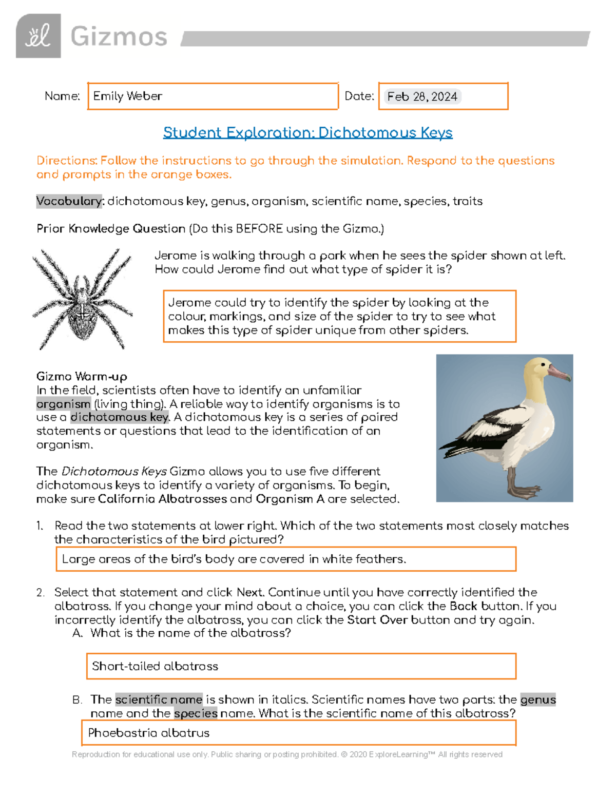 Dichotomous Key Gizmo - Name: Emily Weber Date: Feb 28, 2024 Student ...