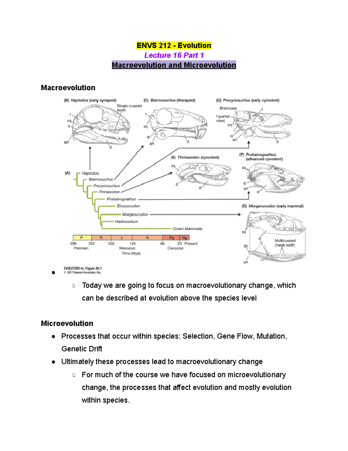 ENVS 212 Lecture 16 Part 1 - Spring 2020 - ENVS 212 - Evolution Lecture 16 Part 1 Macroevolution ...