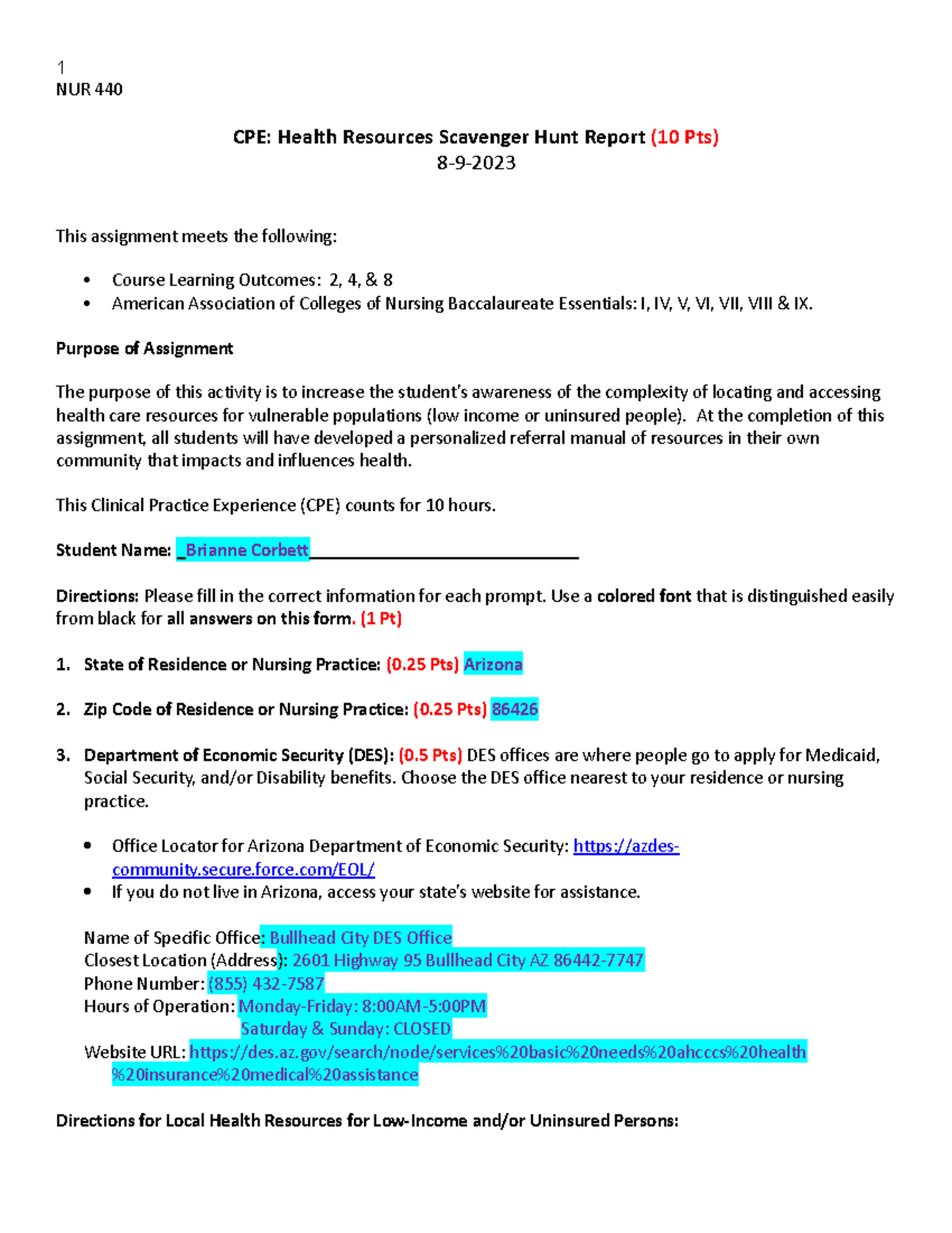 CPE - Health Resources Scavenger Hunt Report Form 8-9-23 - NUR 440 CPE ...