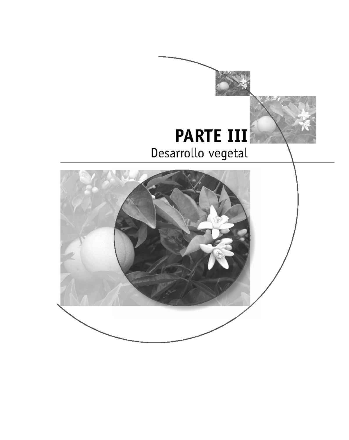 Capitulo 18 - fisiologia vegetal - Desarrollo vegetal PARTE III miento ...