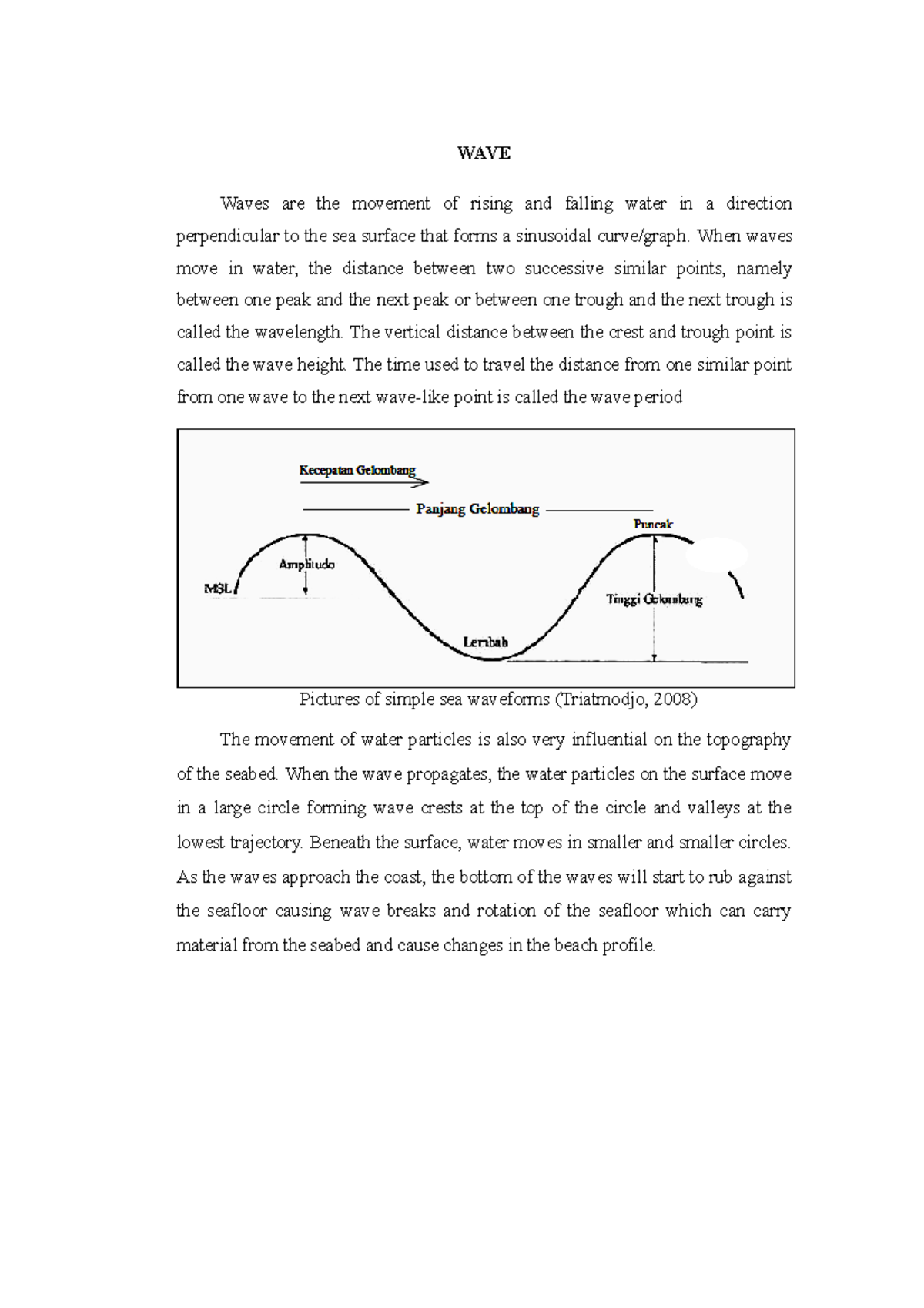 Ocean Wave (Marine Physical) - WAVE Waves are the movement of rising ...