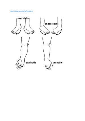 Anatomie samenvatting copy - Anatomie Terminologie Anatomische houding ...