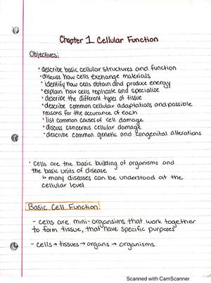 Patho chapter 2 notes - Susan Lisko, from recorded lecture added ...