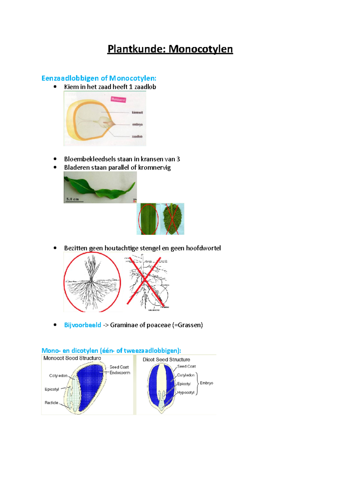 Plantkunde : monocotylen - Plantkunde: Monocotylen Eenzaadlobbigen of ...