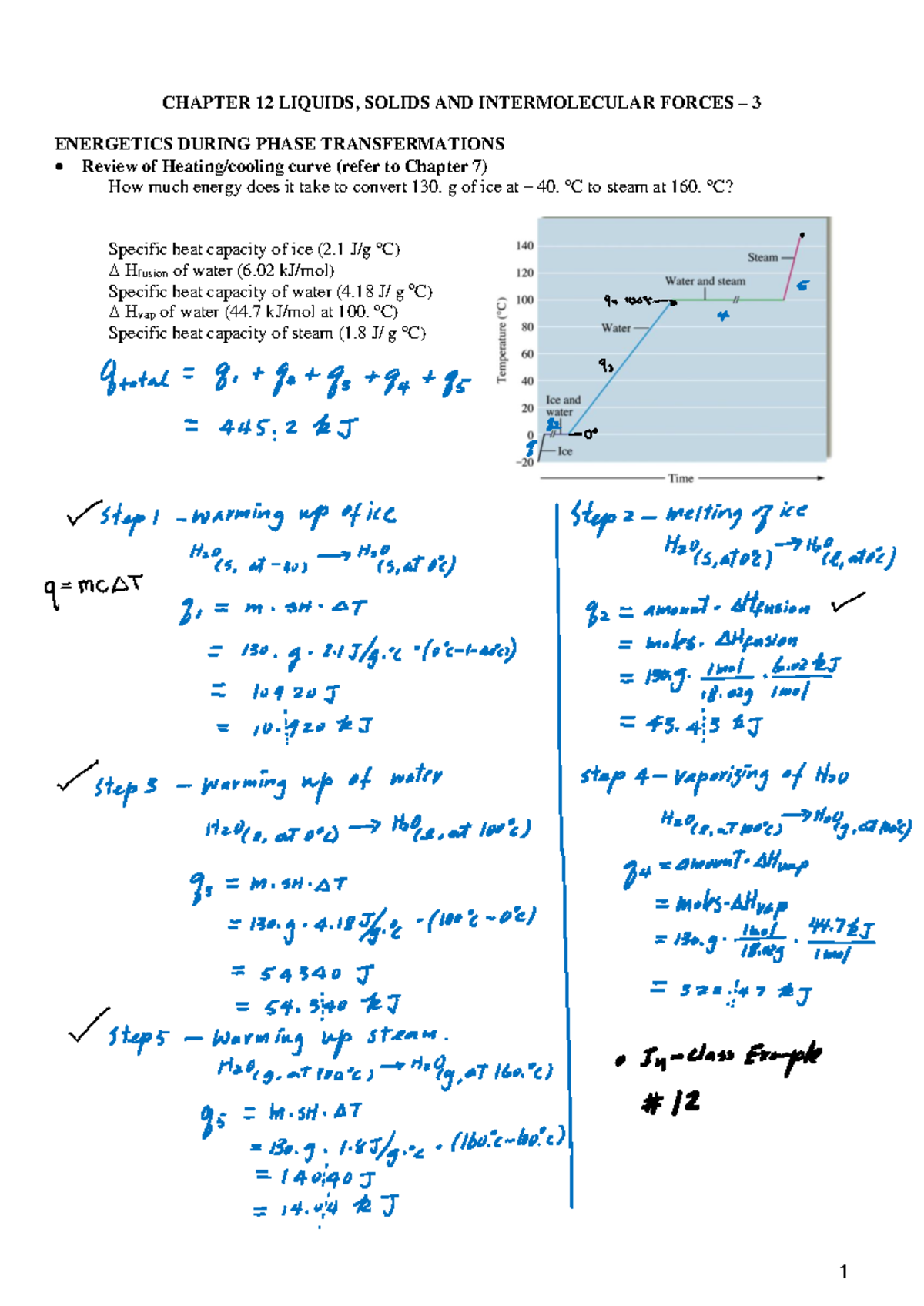 Chapter 12-3 Lecture Notes - ENERGETICS DURING PHASE ...