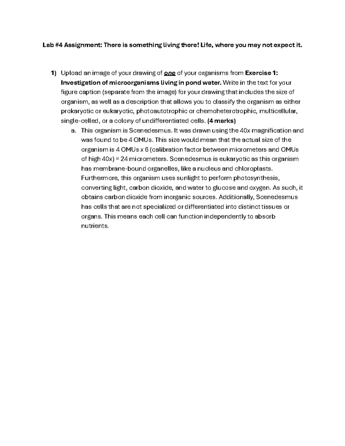 Lab 4 Assignment Questions - Lab #4 Assignment: There is something ...