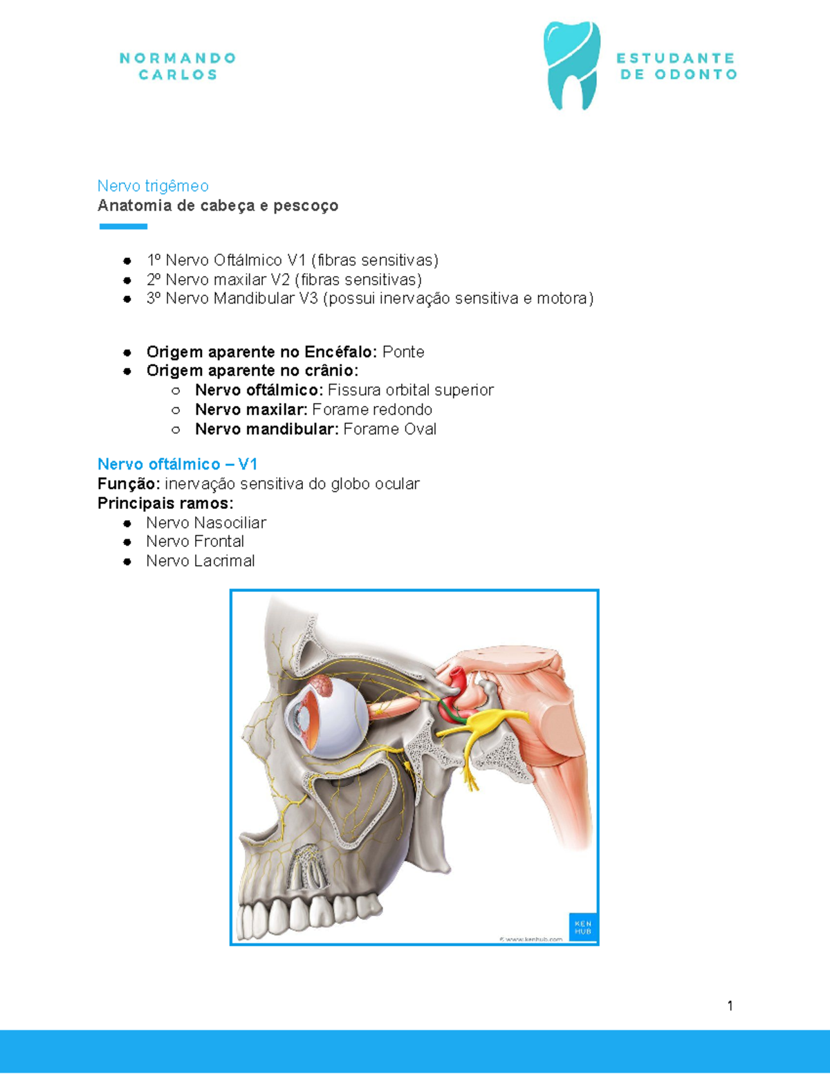19 - Nervo trigêmeo - ...... - Nervo trigêmeo Anatomia de cabeça e ...