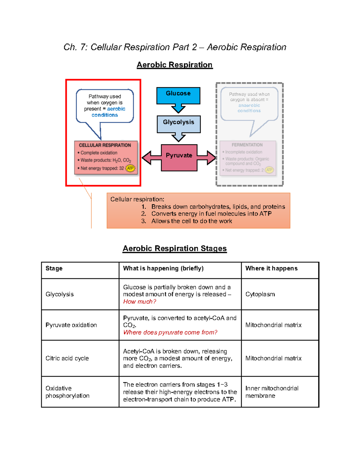 L9 Notes - Ch. 7: Cellular Respiration Part 2 – Aerobic Respiration ...