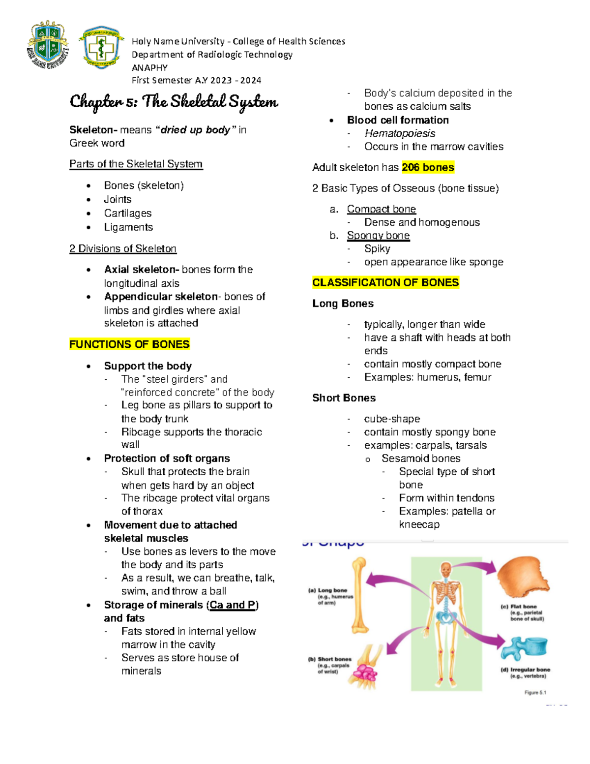 Chapter 5 Skeletalsystem - Department of Radiologic Technology ANAPHY ...