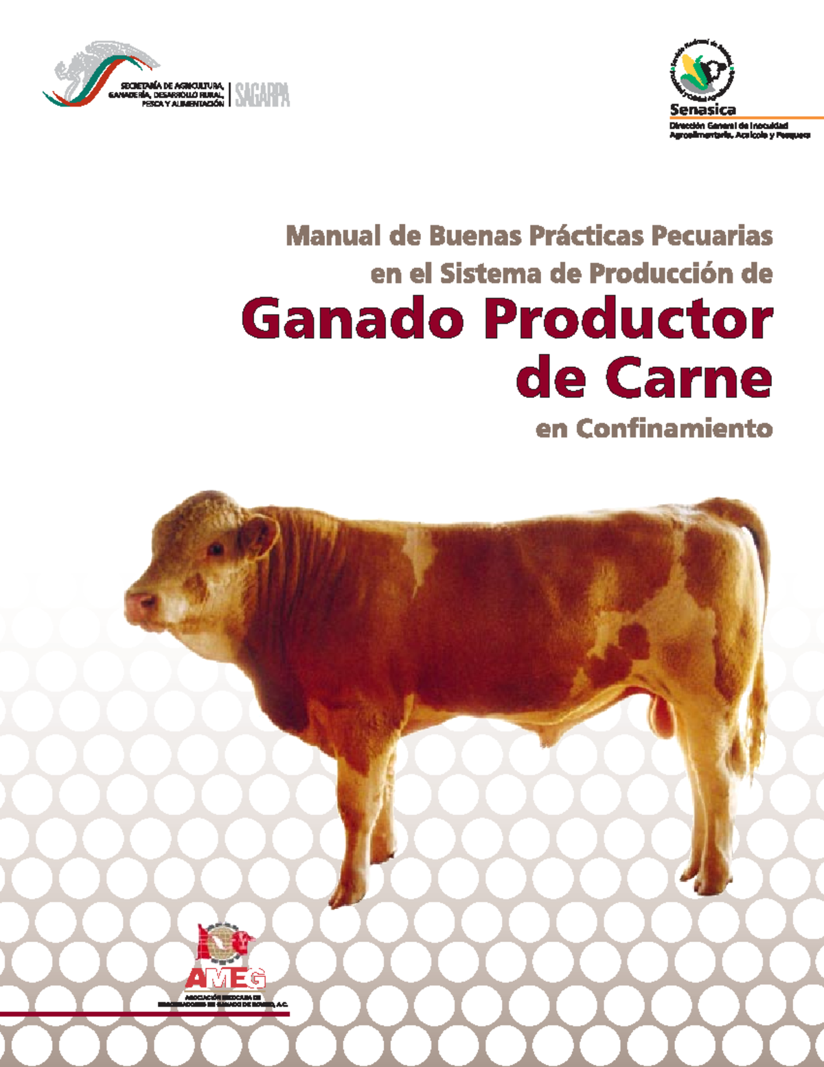 Manual bovino - Manual de Buenas Prácticas Pecuarias en el Sistema de Producción de ganado ...