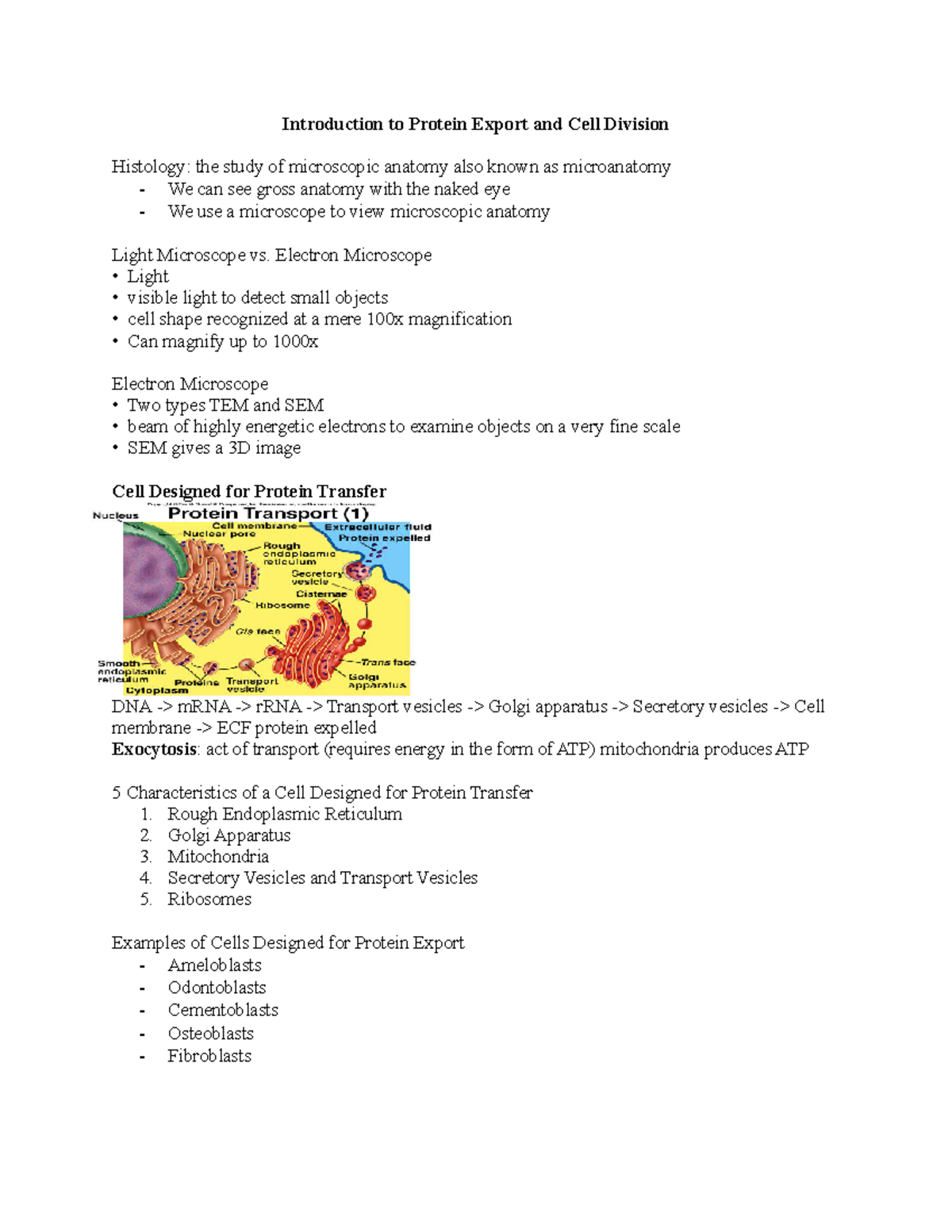 Introduction to Protein Export and Cell Division - Introduction to ...
